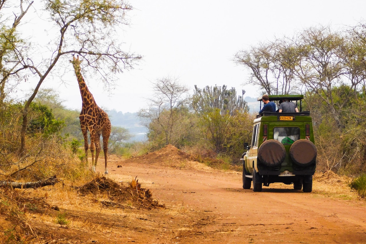 Tips for Visiting Akagera National Park in Rwanda - Gabi Travels